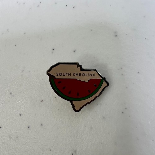 South Carolina Watermelon Pin Pink State Outline Brooch Small Enamel | eBay