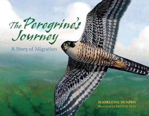 The Peregrine's Journey: A Story of Migration (A Story of Migration, 1 ...