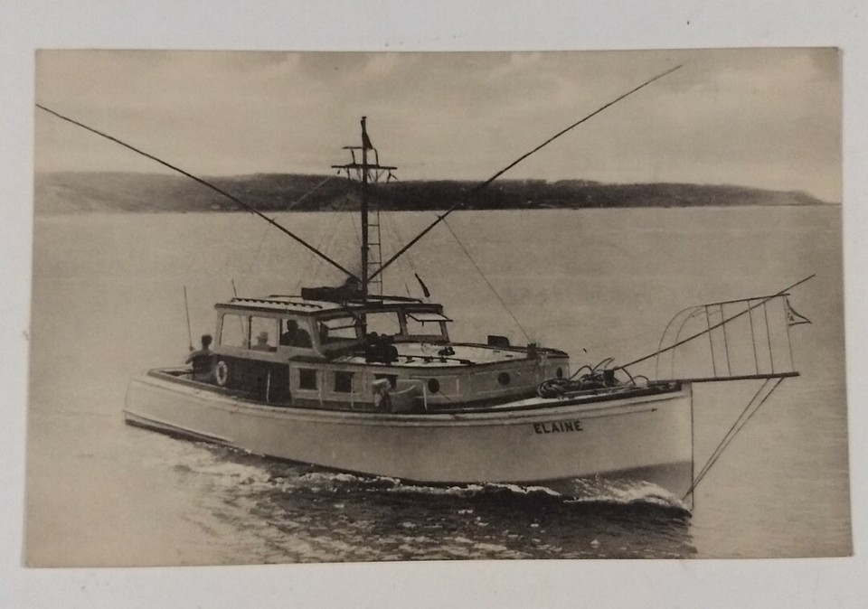 VTG Postcard "Elaine" Sport Fishing Boat Advertising Outriggers ...
