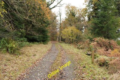 Photo 12x8 Kirroughtree Forest Trails Creebridge The blue and white ...