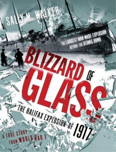 Sally M Walker Blizzard of Glass (Poche) 9781250040084 | eBay