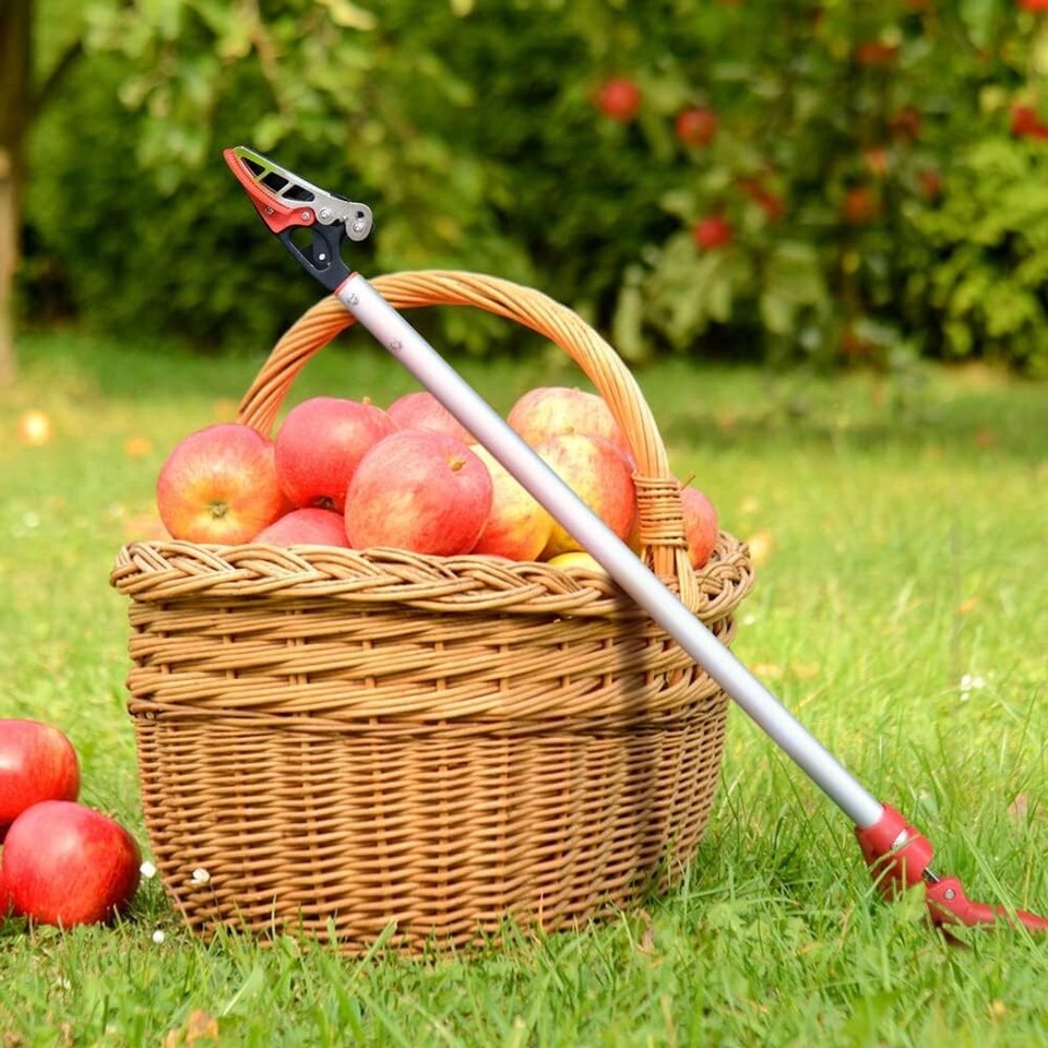 32-Inch Cut and Hold Pruners, Long-Reach Tree Pruner with Rotating ...