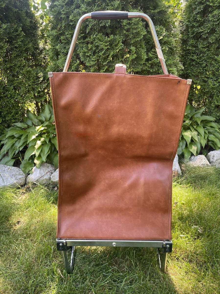 Pull Along Shopping Cart