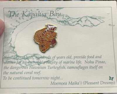 HAWAII Kapalua Bay Pinao Fish Hawaiian Turkey Fish NOSWT Vintage Tack ...