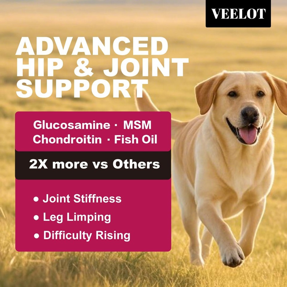 Best for Dogs Hip and Joint Supplement Chews,Glucosamine Chondroitin ...