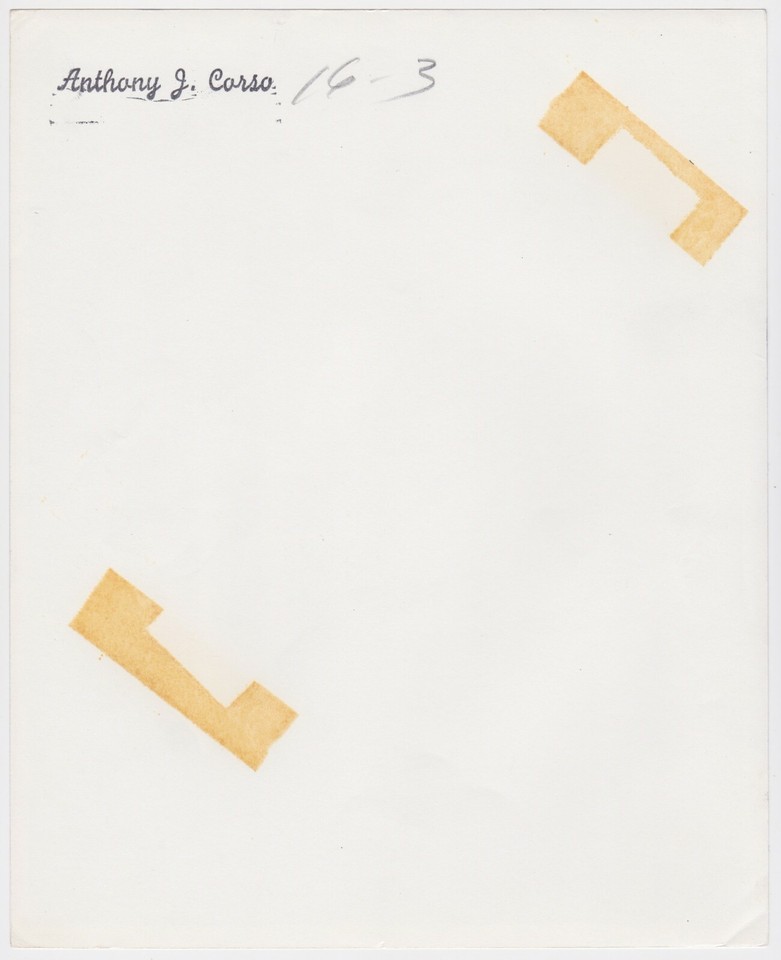 ROUSTABOUT JOAN STALEY 1964 ORIGINAL VERTICAL 8X10 MOVIE STILL PHOTO ...