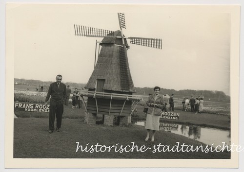 Vogelenzang Frans Roozen Tulipshow - Windmühlen Windmill - 2x Altes ...