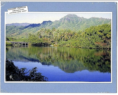 VIEW OF PUNALUU/KAHANA BAY BRIDGE, NORTH OAHU PHOTO ON 8X10" BLUE MATT ...