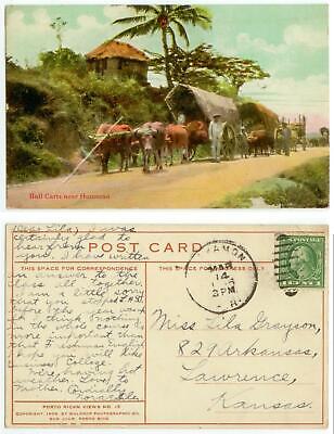 1916 Puerto Rico Bull Carts near Humacao - posted Bayamon | eBay