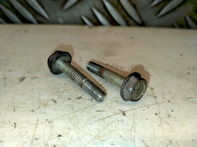 Briggs & Stratton 11,5 Hp I/C 28D707 - 2 vis de bobine d'allumage ref ...