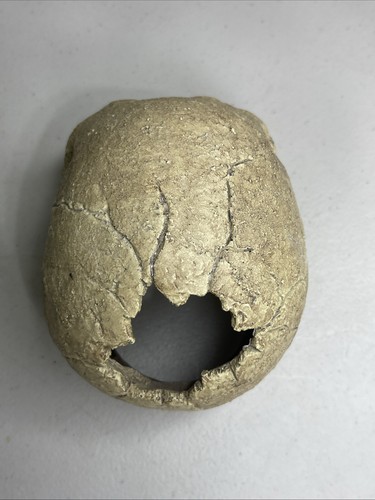 Aquarium Resin Skull, Reptile Tank Accessories Ornament Basking Snake ...