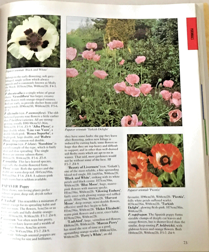 Blooms of Bressingham : Choosing the Best Hardy Plants for Your Garden ...