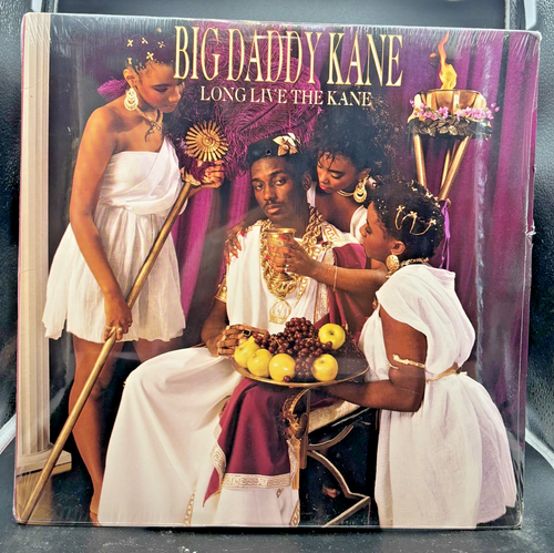 SEALED LP! BIG DADDY KANE - LONG LIVE THE KANE LP - COLD CHILLIN ...