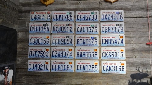 20 Washington Evergreen State embossed license plates Washington for ...