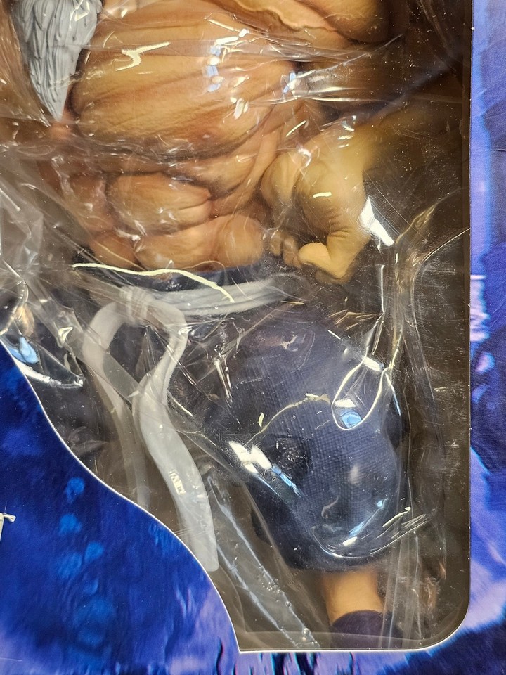 Dragon Ball Z Muscle Master Roshi Figure, 24 cm / 9 in Toy Anime Statue ...