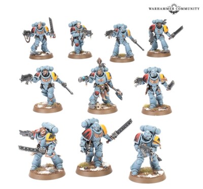 Games Workshop, Warhammer 40k, 10x Primaris Grey Hunters | eBay UK