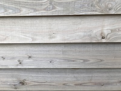 Sweet chestnut Cladding Live/waney One Straight cut ( Larch English ...