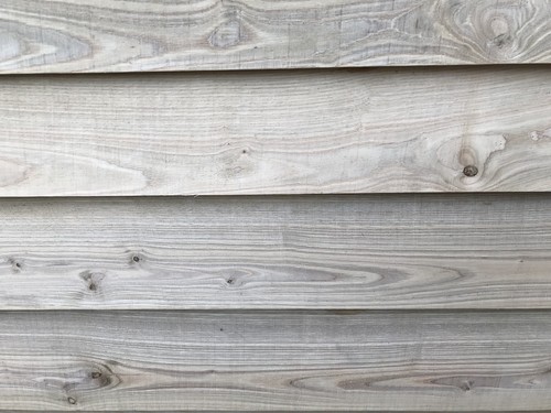 Sweet chestnut Cladding Live/waney edge (straight cut profiled fir ...