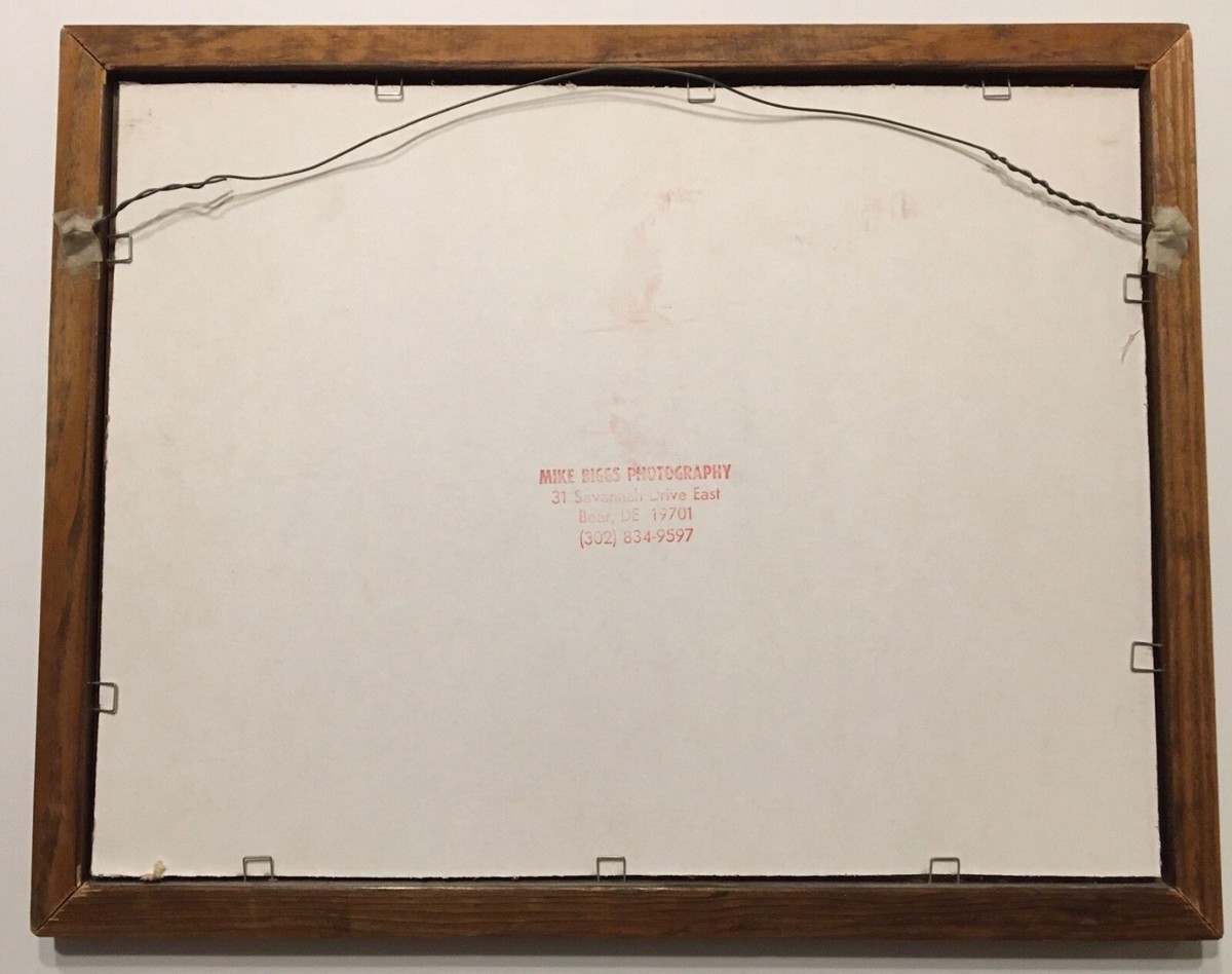 Mike Biggs Photography