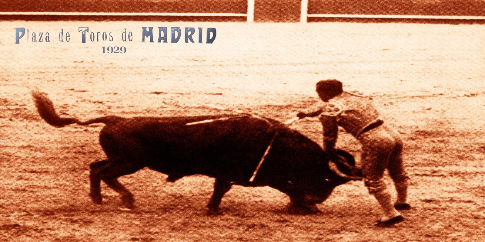Bullfighting Vintage Poster #52 - Canvas Art Poster 12"x 24 | eBay