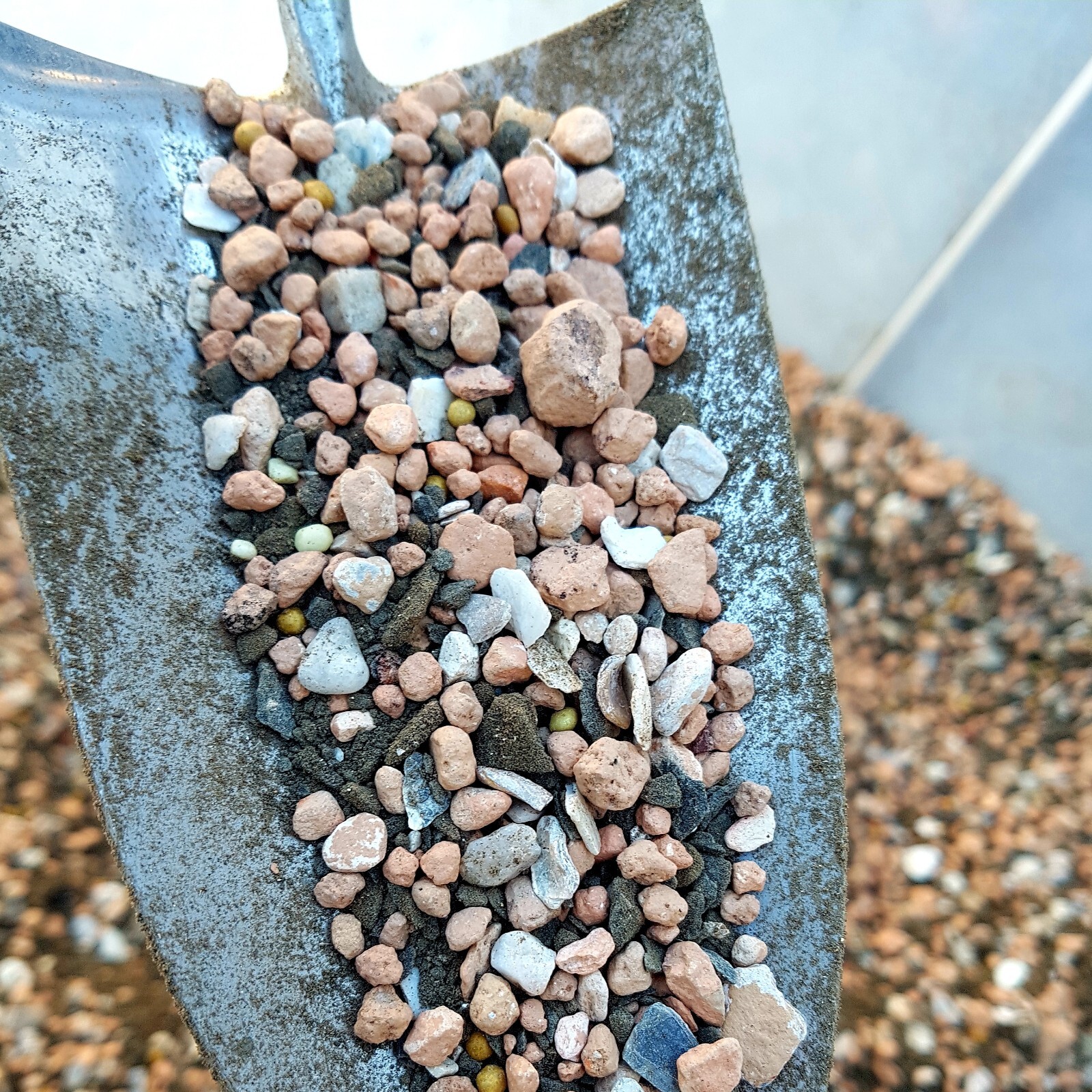 Cacti and succulents soil - specialist substrate potting mix for plants ...