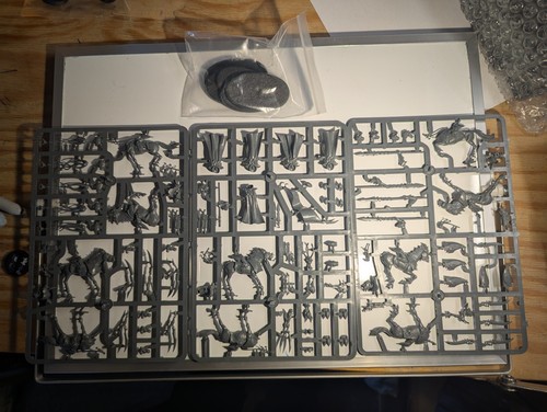 Warhammer Fantasy AoS Dark Riders/Doomfire Warlocks Dark Elves Cavalry ...