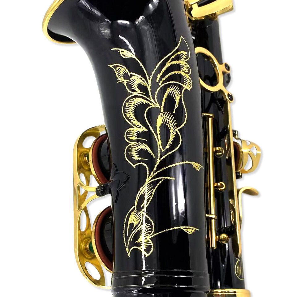 Saxophone Kit Black-Gold Eb Flat Alto Saxophone with Carry Case ...