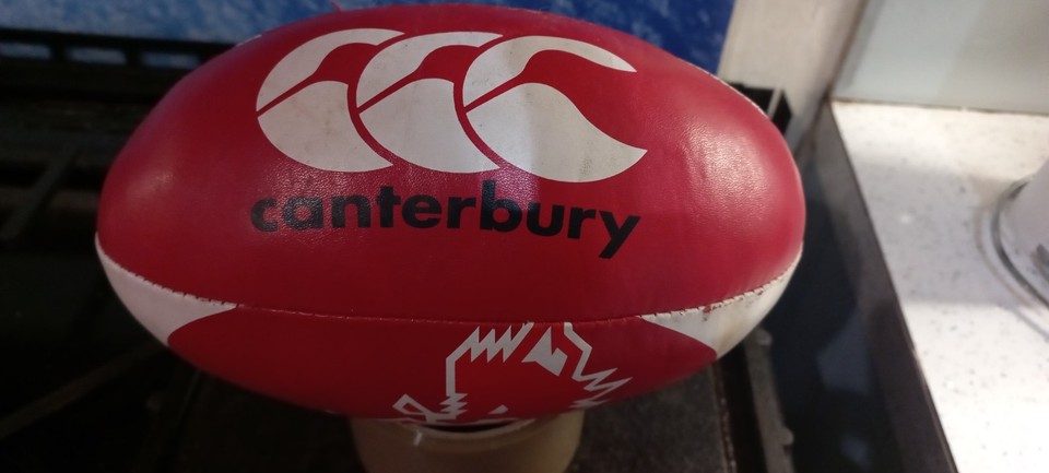 Canterbury Sunwolves Decorative Small Rugby Ball | eBay UK