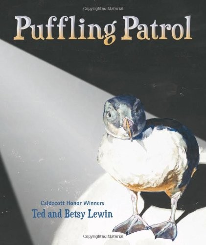PUFFLING PATROL (ADVENTURES AROUND THE WORLD) By Ted Lewin & Betsy ...