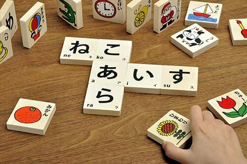 Educational Wooden Blocks Japanese Hiragana with pictures Toy Made in ...