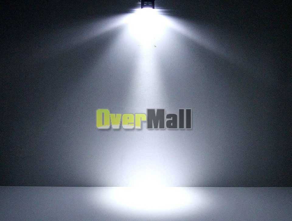 10 Pack Attic Squirrel Repeller Strobe Light Animal Safe Pest Deterrent ...