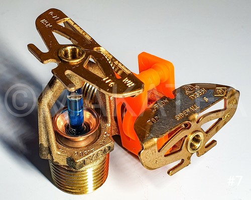 Sprinkler Sprinklerkopf #7 Tyco TY3351 blau 141°C/268°F 1/2 ...