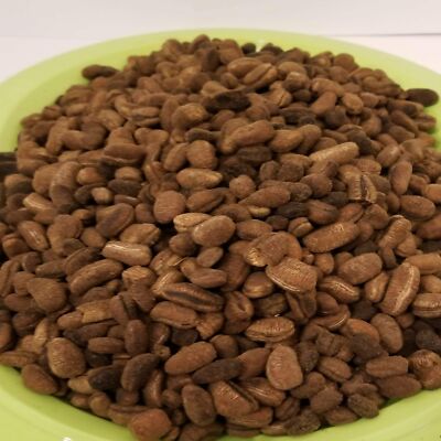 Calabash Nutmeg / African Nutmeg / Ehuru,2oz | eBay