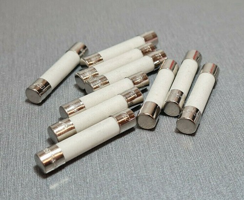 10PCS 10A F10A Ceramic Fuse 3AG 6x32mm Fast Blow 250V AUSTRALUX | eBay