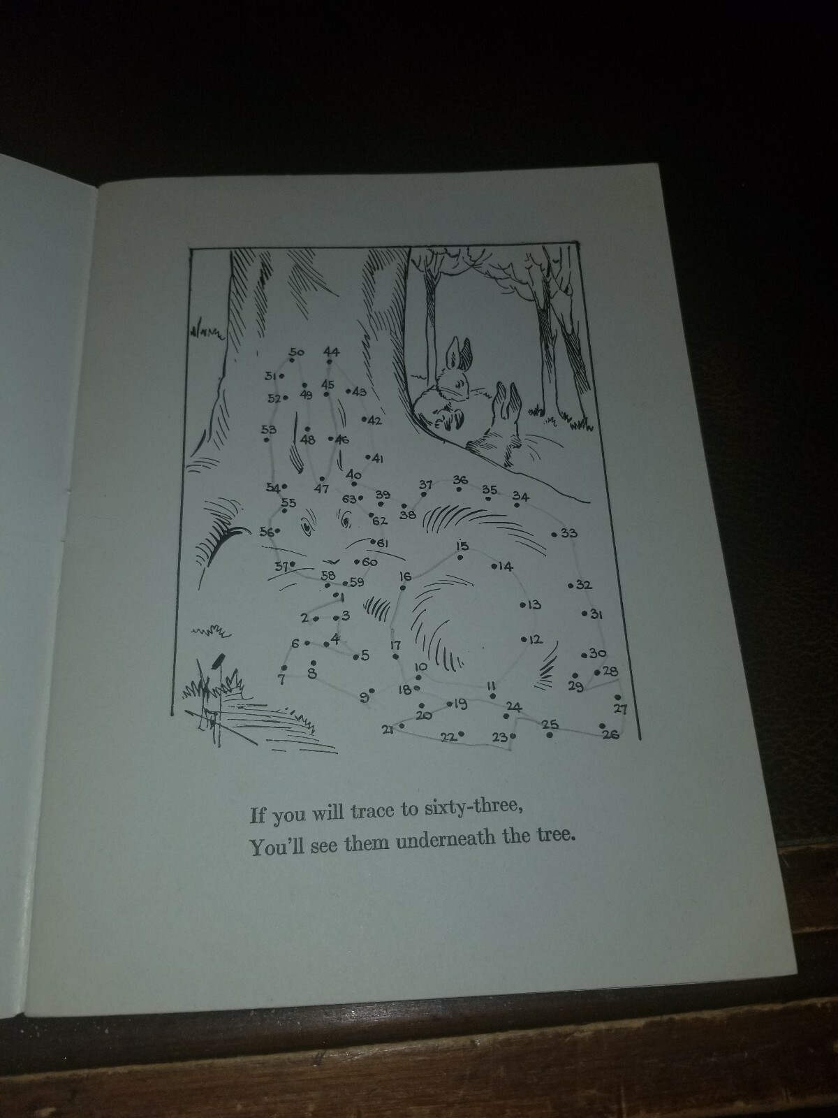 Piffles’s Peter Rabbit Dot Drawing Book Platt & Monk Co. 1920s - Pencil ...