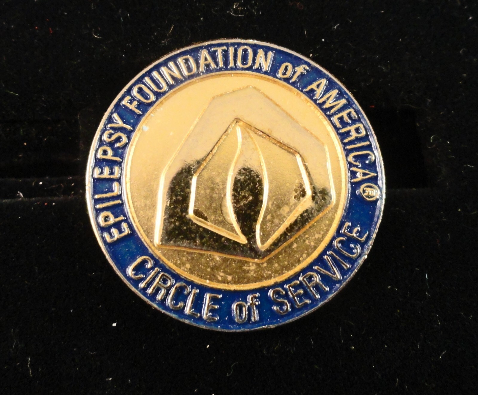 Lapel Pin: Epilepsy Foundation of America; Circle of Service | eBay
