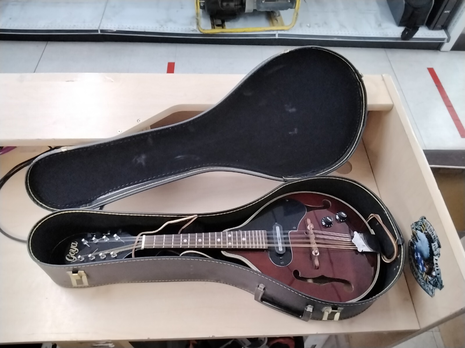GOYA C.F.MARTIN GM23E Electric MANDOLIN MIK WITH ORIGINAL CASE | eBay