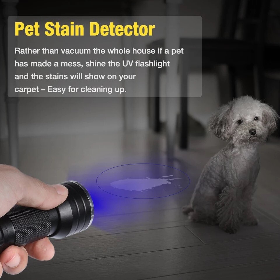 UV Flashlight Black Light Flashlight Ultraviolet LED Pet Urine Stains ...