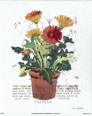 (8 x 10) Art Print OV0104 Nancy Overton | eBay