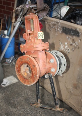 PROMET DN100 Flanged Gate valve P60 4" INCH 100mm | eBay Australia