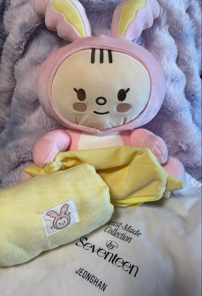 SEVENTEEN JEONGHAN Artist Made Collection PLUFFY TORAM Plush Doll Carat ...
