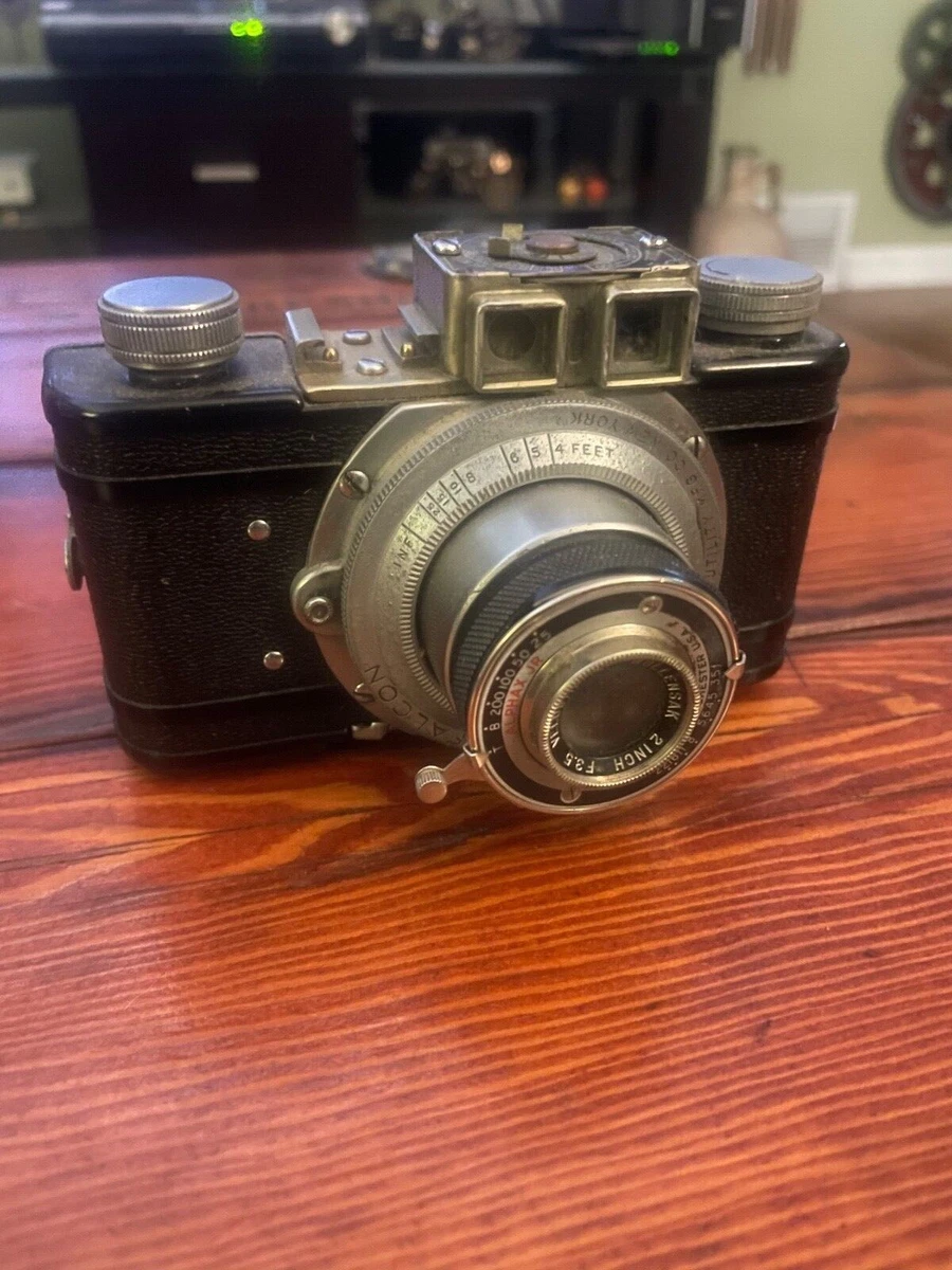 Special Falcon Camera