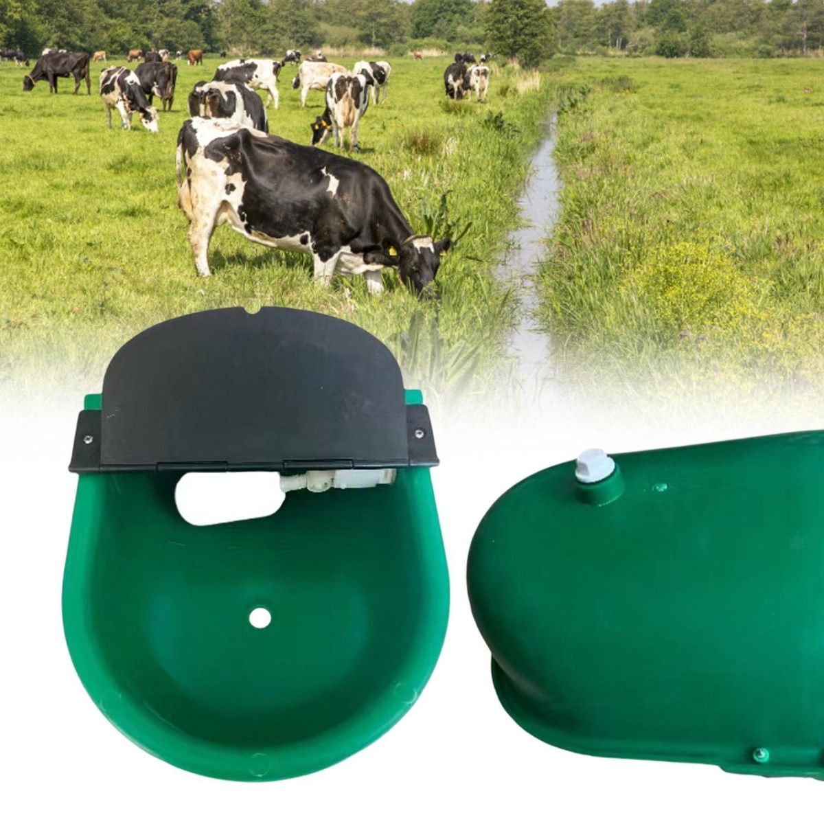 Automatic Cow Feeder