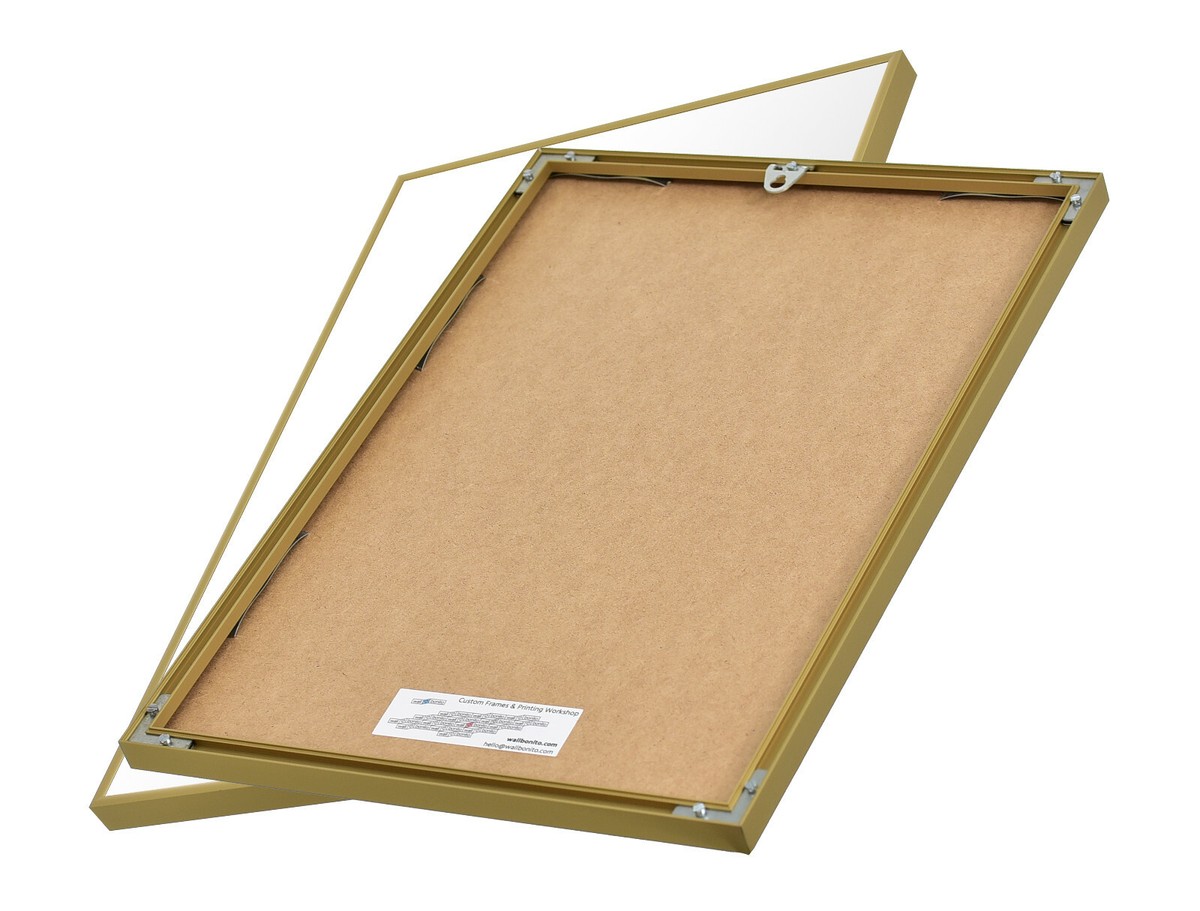 Odd Size Poster Frames