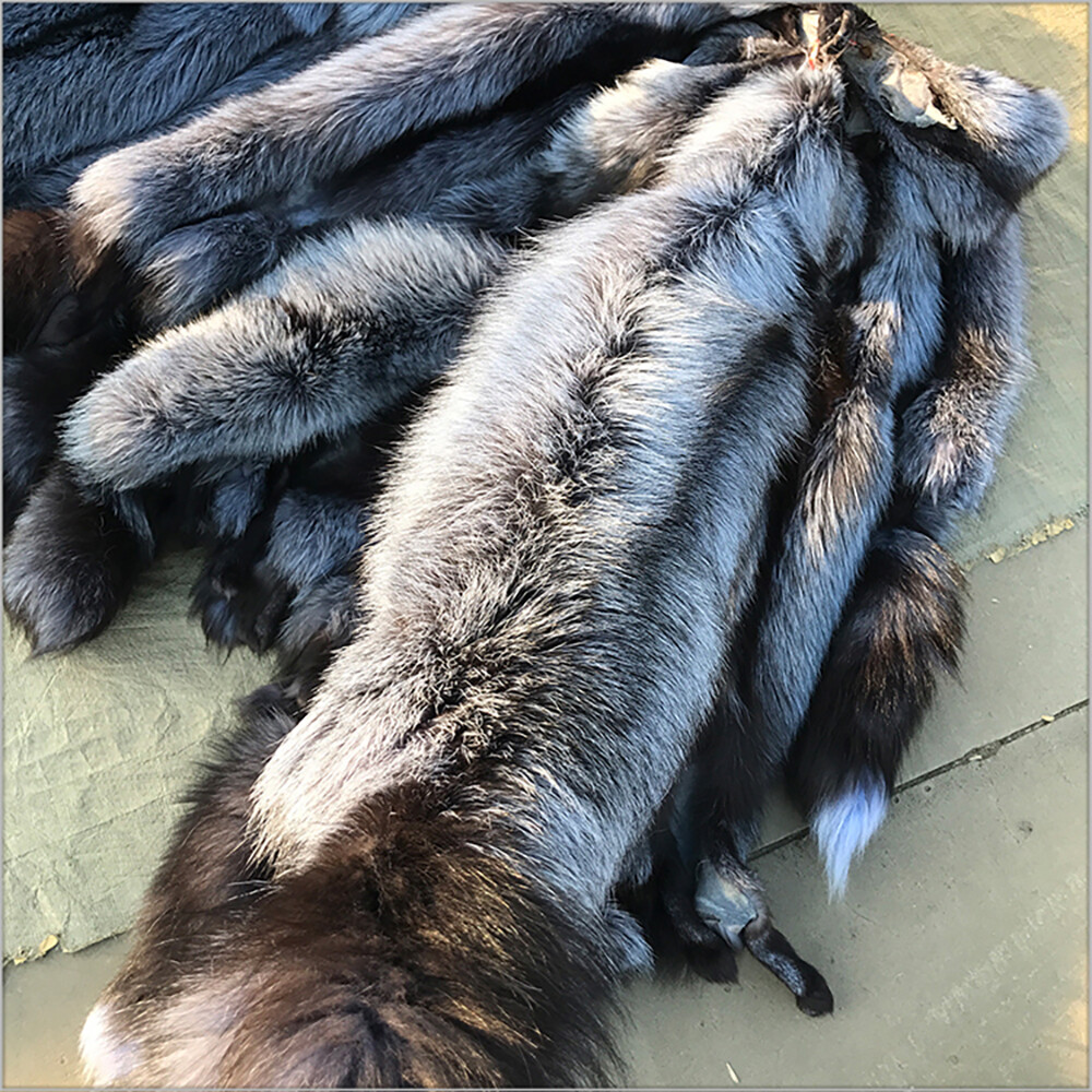 1x Tanned Silver Fox Skin Fur Pelts Soft Dense Real Leather Hides 39-47 ...
