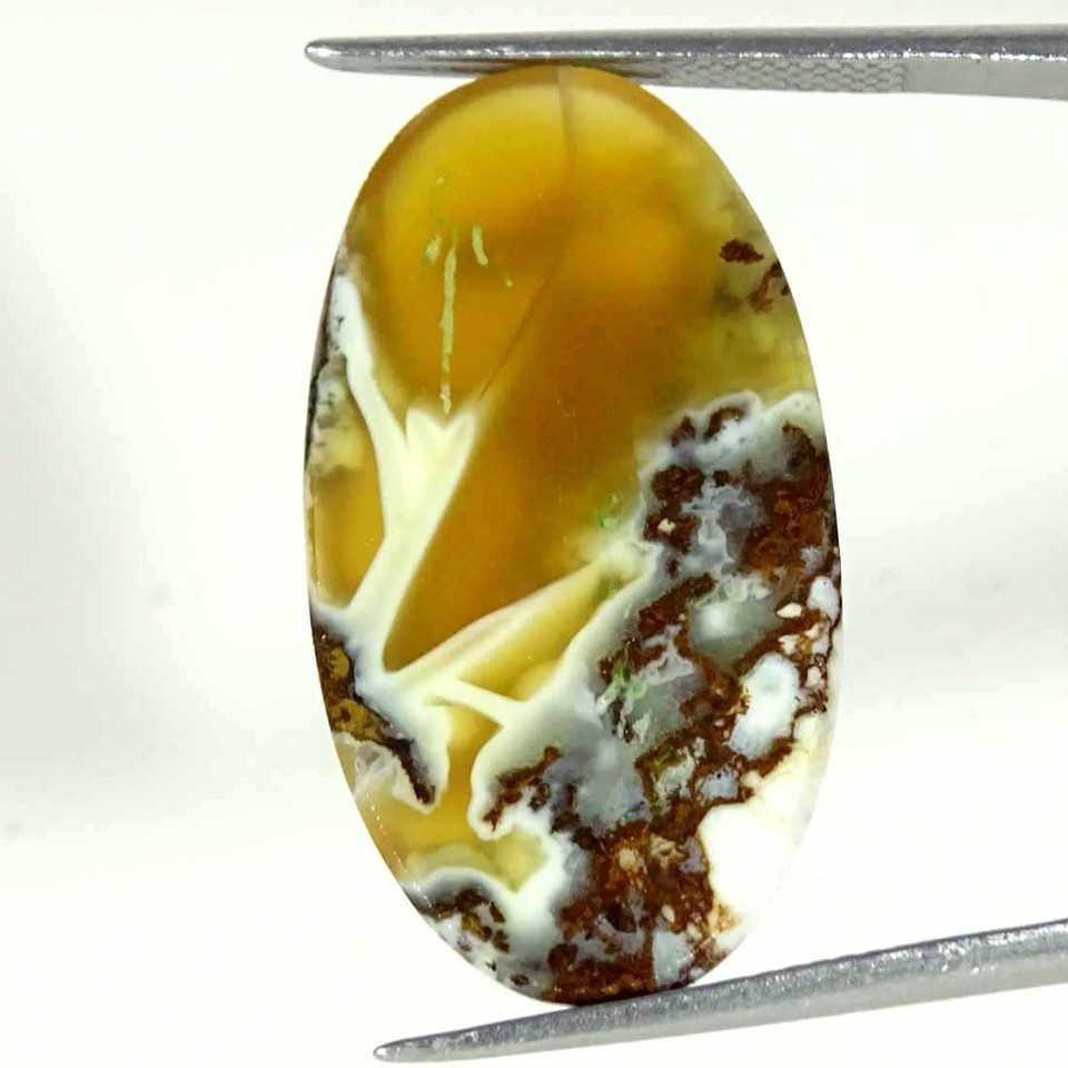 19.40Cts Wild Horse Opal Loose Natural Gemstone Cabochon 16x29x5mm Oval ...