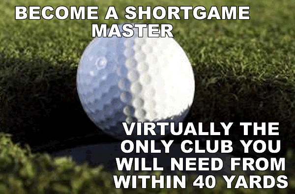 TEXAS WEDGE CHIPPER HYBRID IRON WOOD CHIPPING PUTTER PITCHING MARXMAN ...