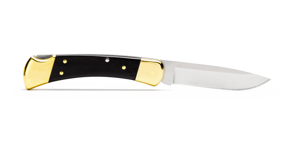 Buck Drop Point 110 Folding Hunter Knife 0110BRS6-B 420HC USA Made ...