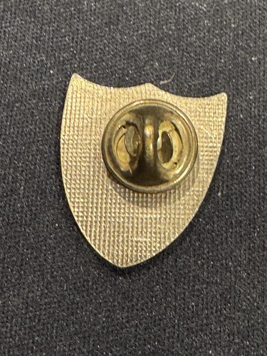 CREST, DI, 75TH RANGER REGIMENT Lapel Pin Badge Military | eBay