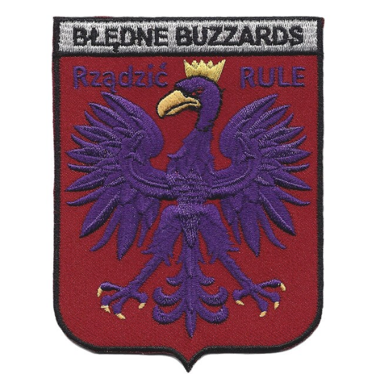 4" AIR FORCE BLEDNE BUZZARDS RZADZIC RULE 510TH SQUADRON EMBROIDERED ...